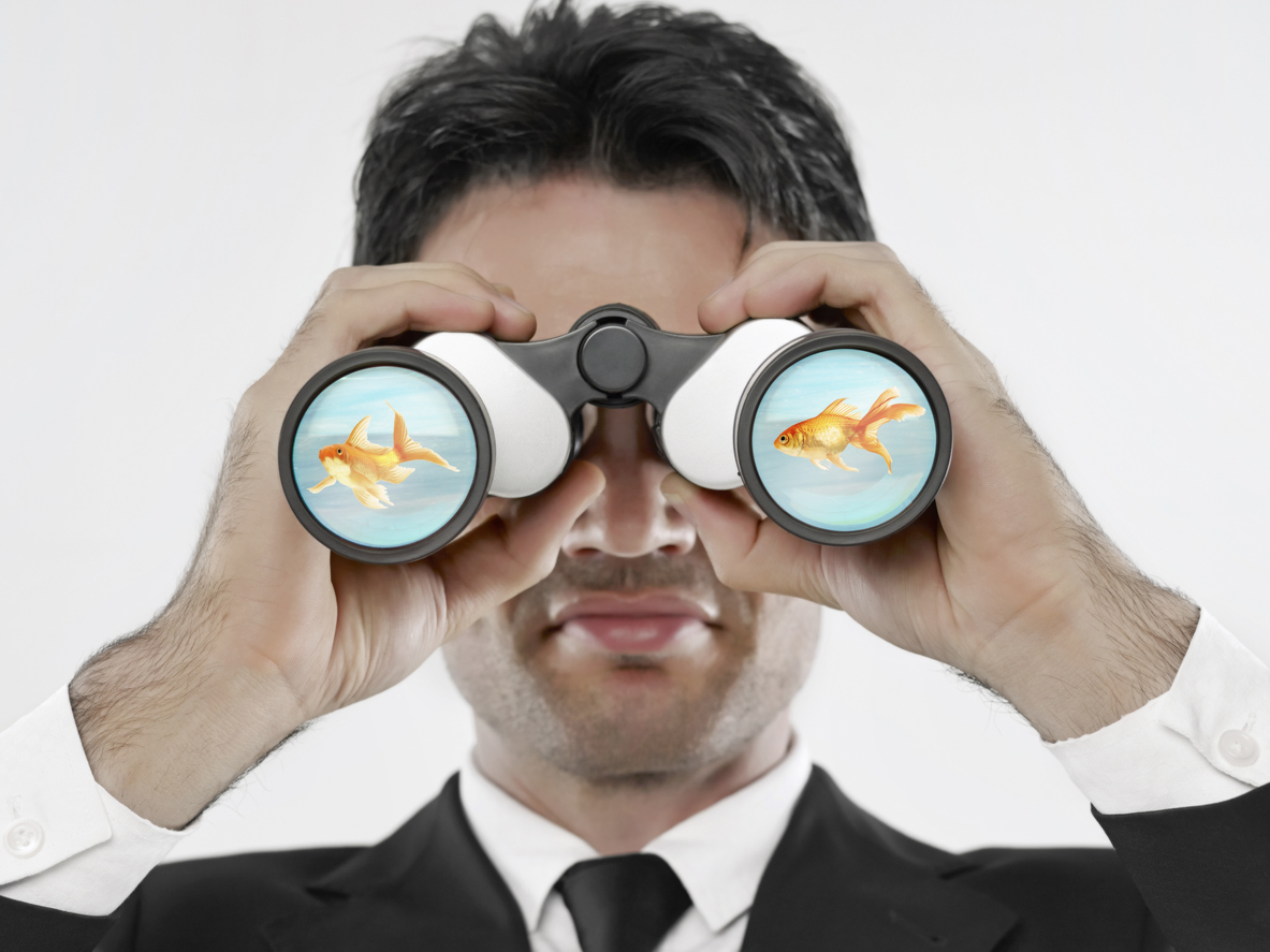 Citizen scientists to train AI 'spyfish' for healthy oceans - Inside ...