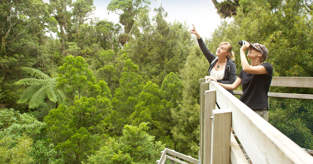 Five nature projects backed with funding - Inside Government NZ