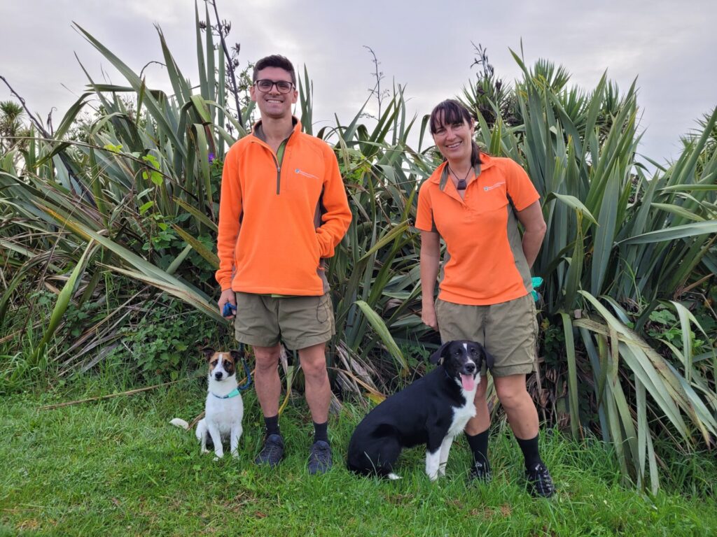 Canines with a nose for conservation - Inside Government NZ