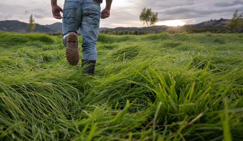 MPI announces farm scholarships - Inside Government NZ