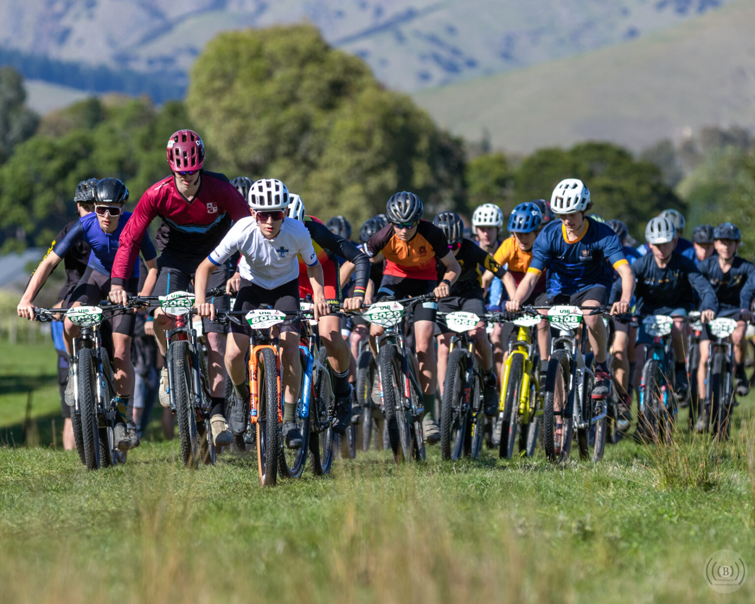 Bike tracks pedal events growth for Marlborough - Inside Government NZ