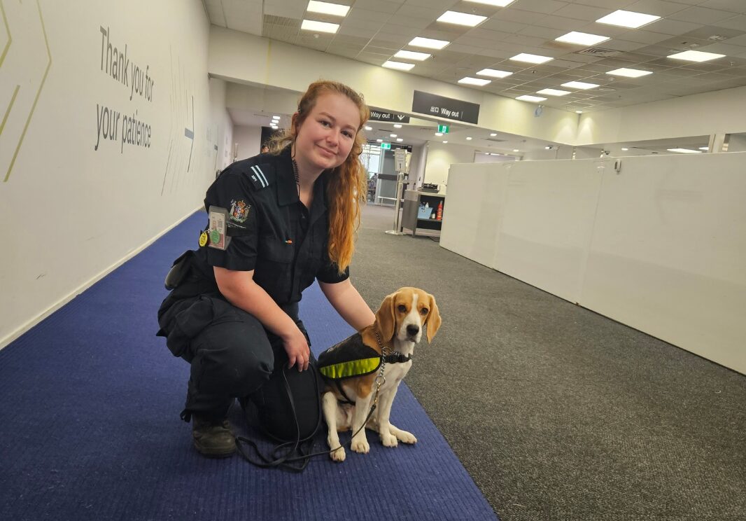 Biosecurity NZ signs off on bumper festive season effort - Inside ...