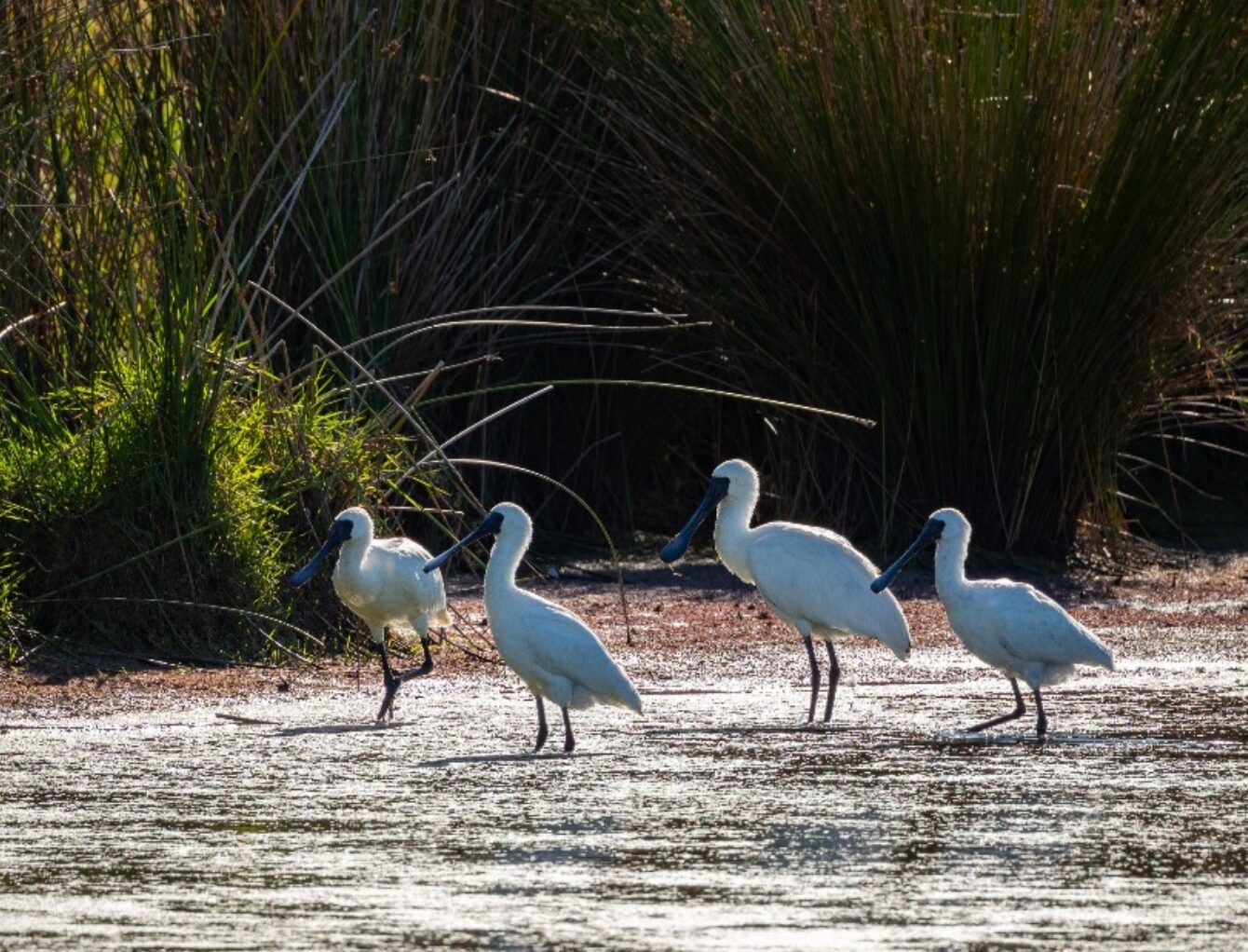 Canterbury council locks in long-term plan - Inside Government NZ