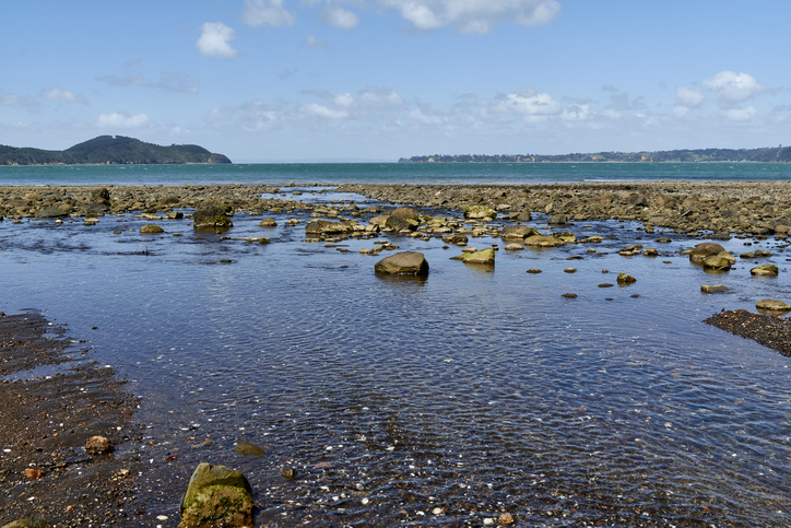Manukau forum welcomes harbour stand - Inside Government NZ