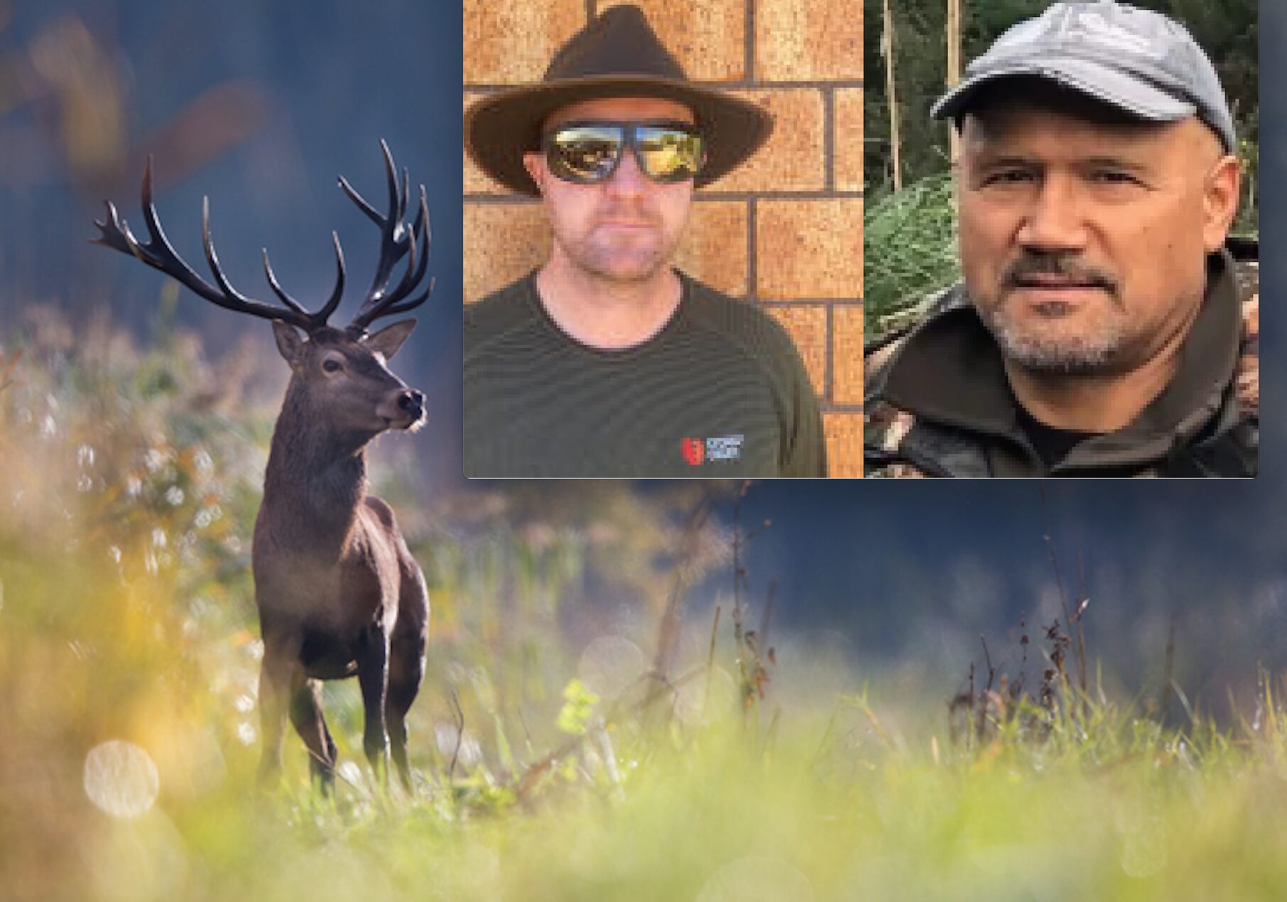 Game Animal Council appointments - Inside Government NZ