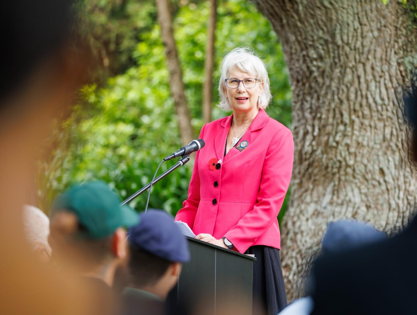 Hamilton Mayor to bow out of politics - Inside Government NZ