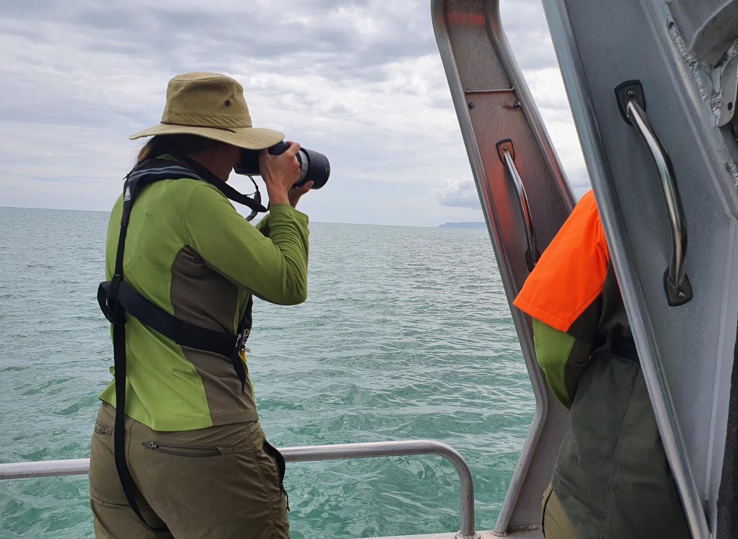 Scientists take to water for Maaui dolphin population survey - Inside ...