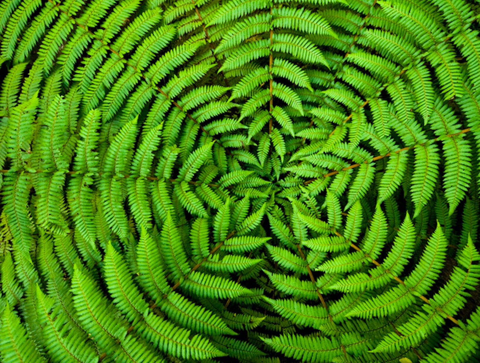 Change in the wind for environmental reporting - Inside Government NZ