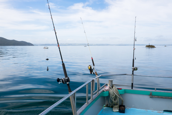 Have your say on new catch limits - Inside Government NZ