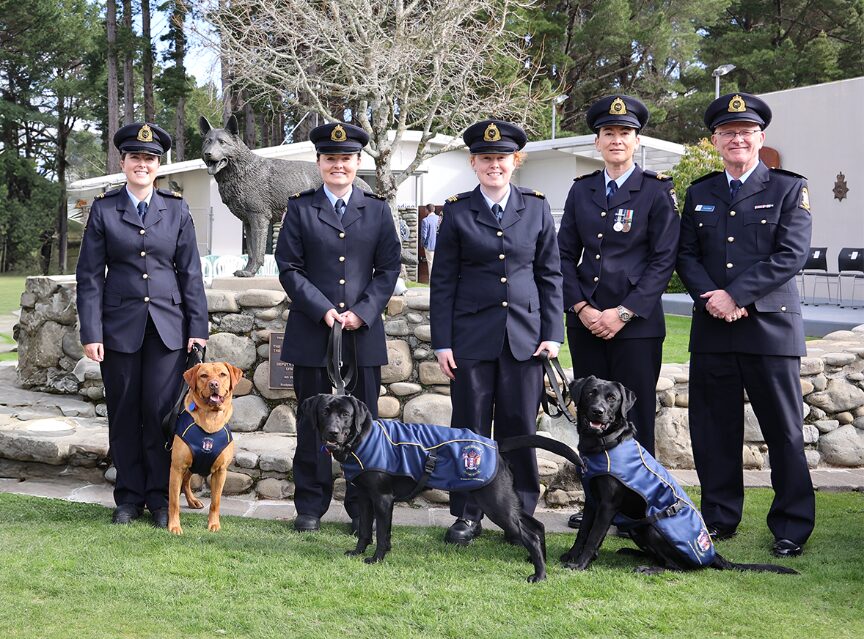 Four new Customs detector dog teams sign on - Inside Government NZ