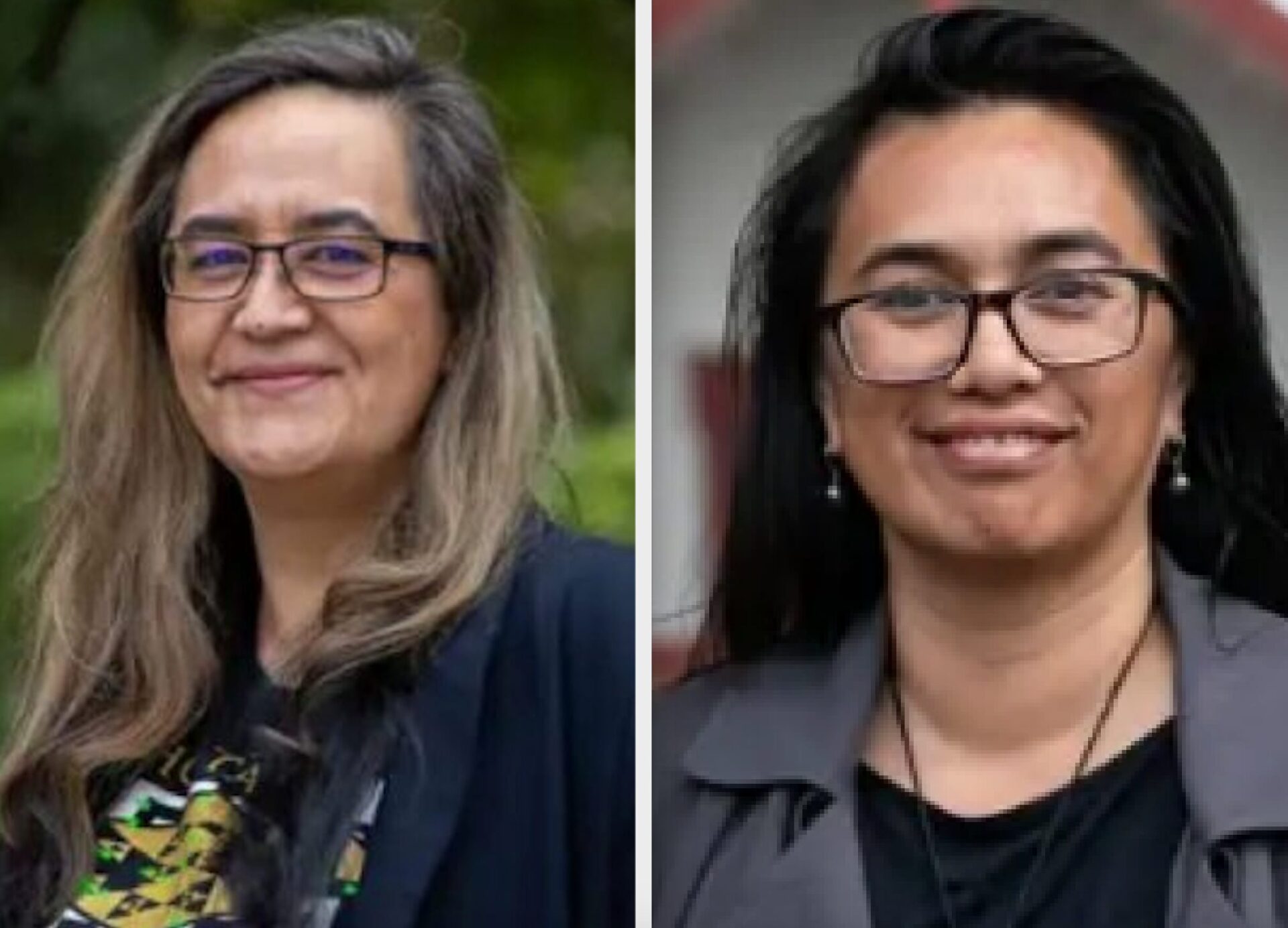 New appointments for key Māori entities - Inside Government NZ