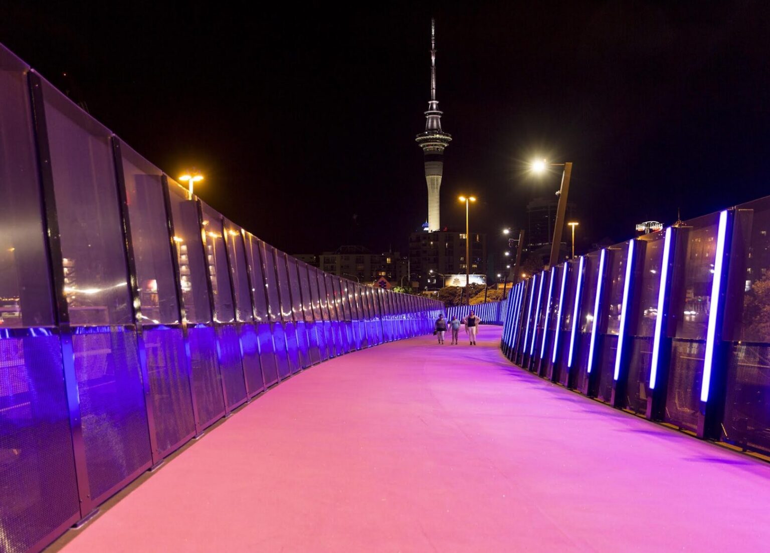 Auckland's 'symphony' cycle path plays out 10th anniversary - Inside ...