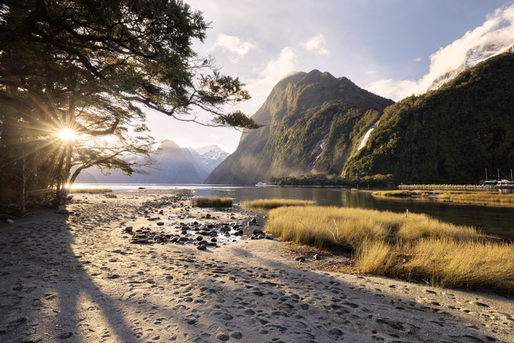 Concession granted for Milford Sound tourism future - Inside Government NZ