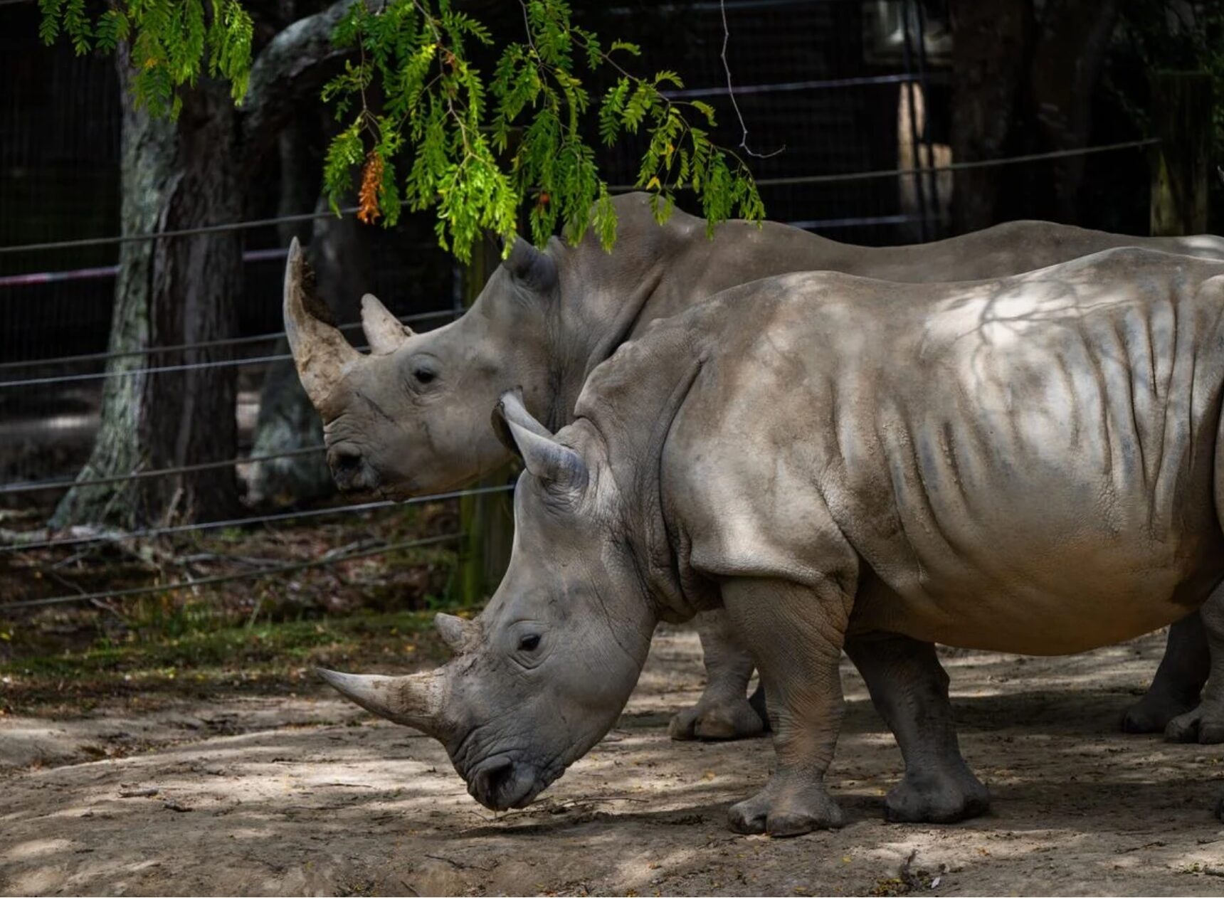 Land acquired for Hamilton Zoo expansion - Inside Government NZ