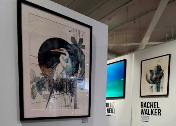 Further copyright protections on the drawing board - Inside Government NZ