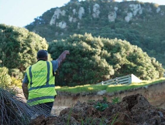 Mount Maunganui landslide review deadline extended - Inside Government NZ